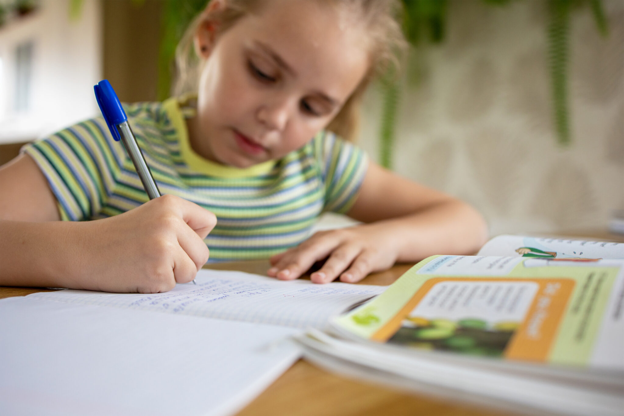 How Can I Build Steady Study Routines For Homeschoolers? | K12 Tutoring